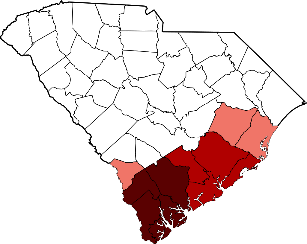 What to Know About South Carolina's Lowcountry - National Land Realty News
