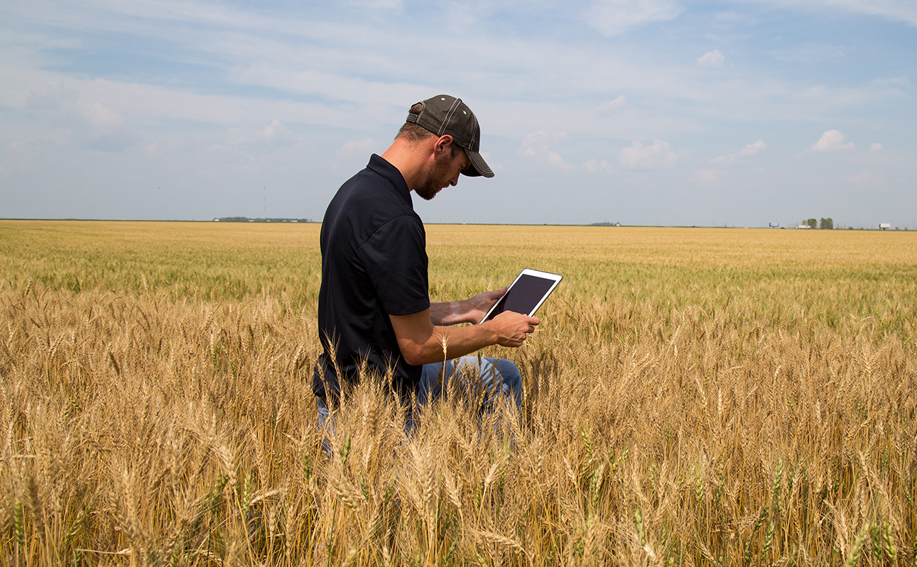 How Can a Land Professional Help Me? - National Land Realty News