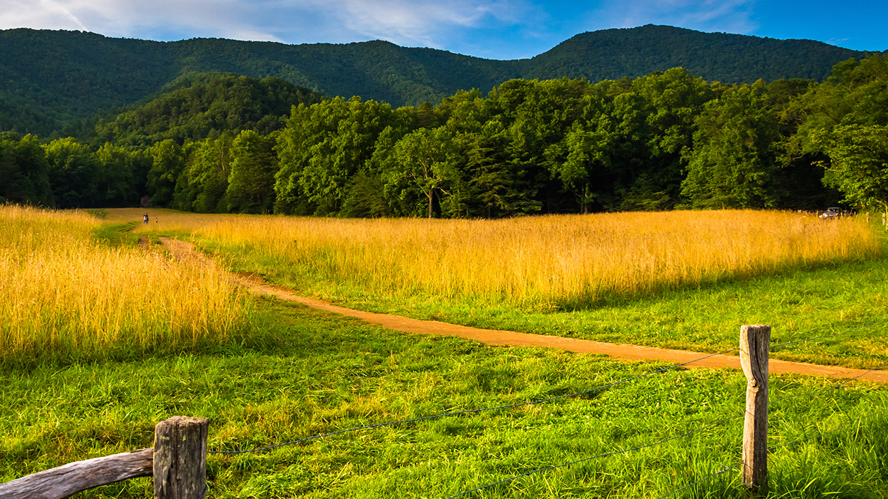 Understanding Property Boundaries - National Land Realty News