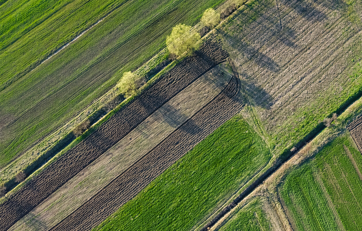 What Land is Right For You? - National Land Realty News