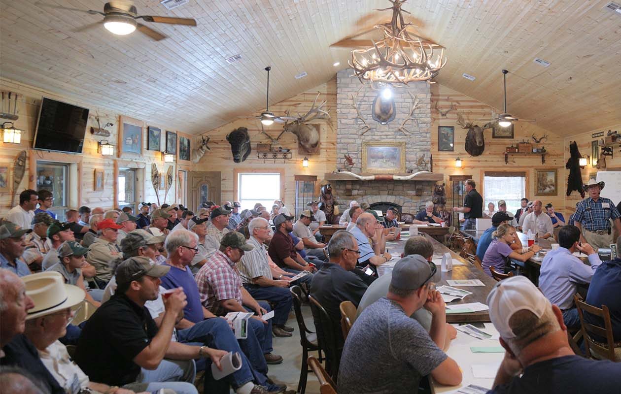 What First-Time Buyers Need to Know About Auctions - National Land ...