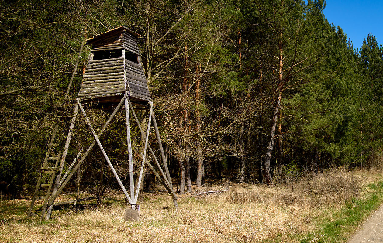 5 Ways to Improve Your Land for Wildlife - National Land Realty News