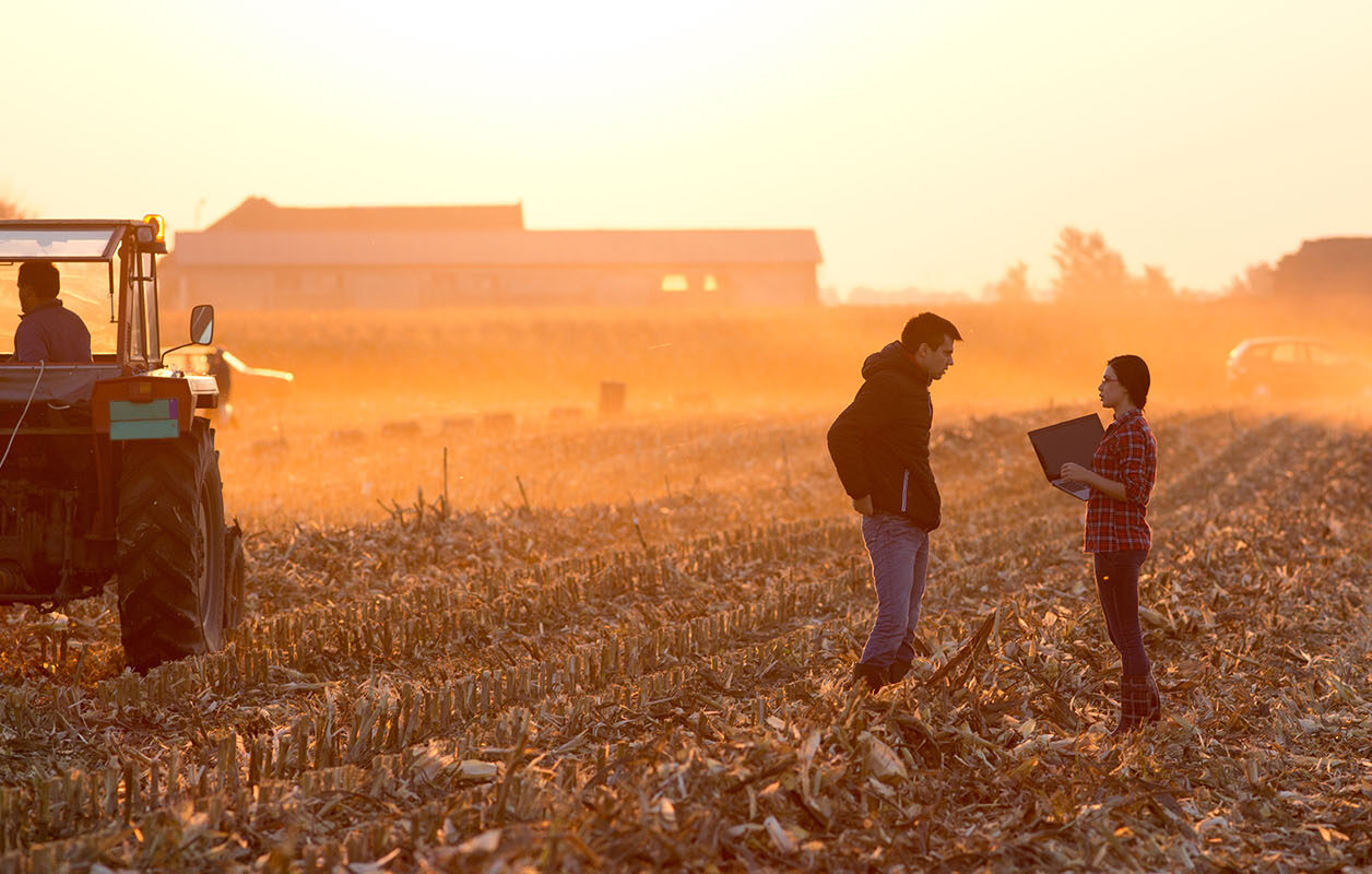 What Does a Land Realtor Do? - National Land Realty News