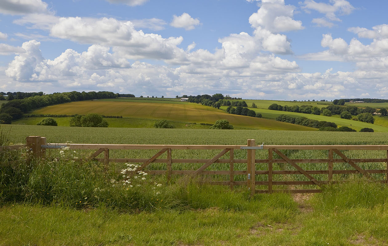 Right Time to Sell Your Minnesota Land? - National Land Realty News