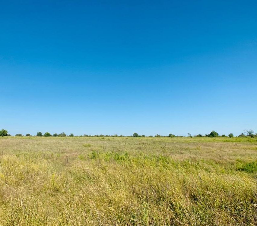 10 Amazing Pieces Of Land For Your Cattle - National Land Realty News