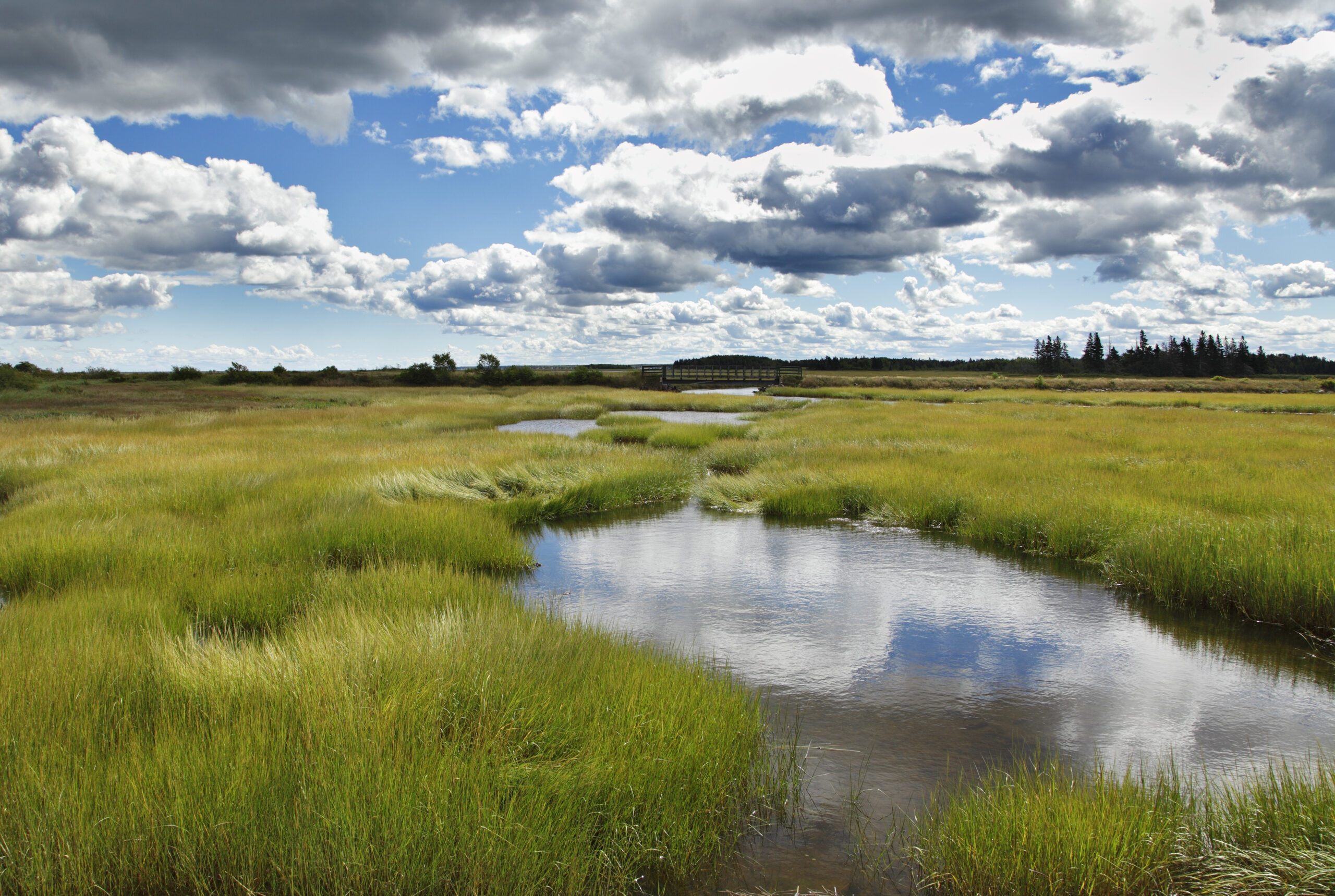 DST Basics: Understanding Delaware Statutory Trusts - National Land ...