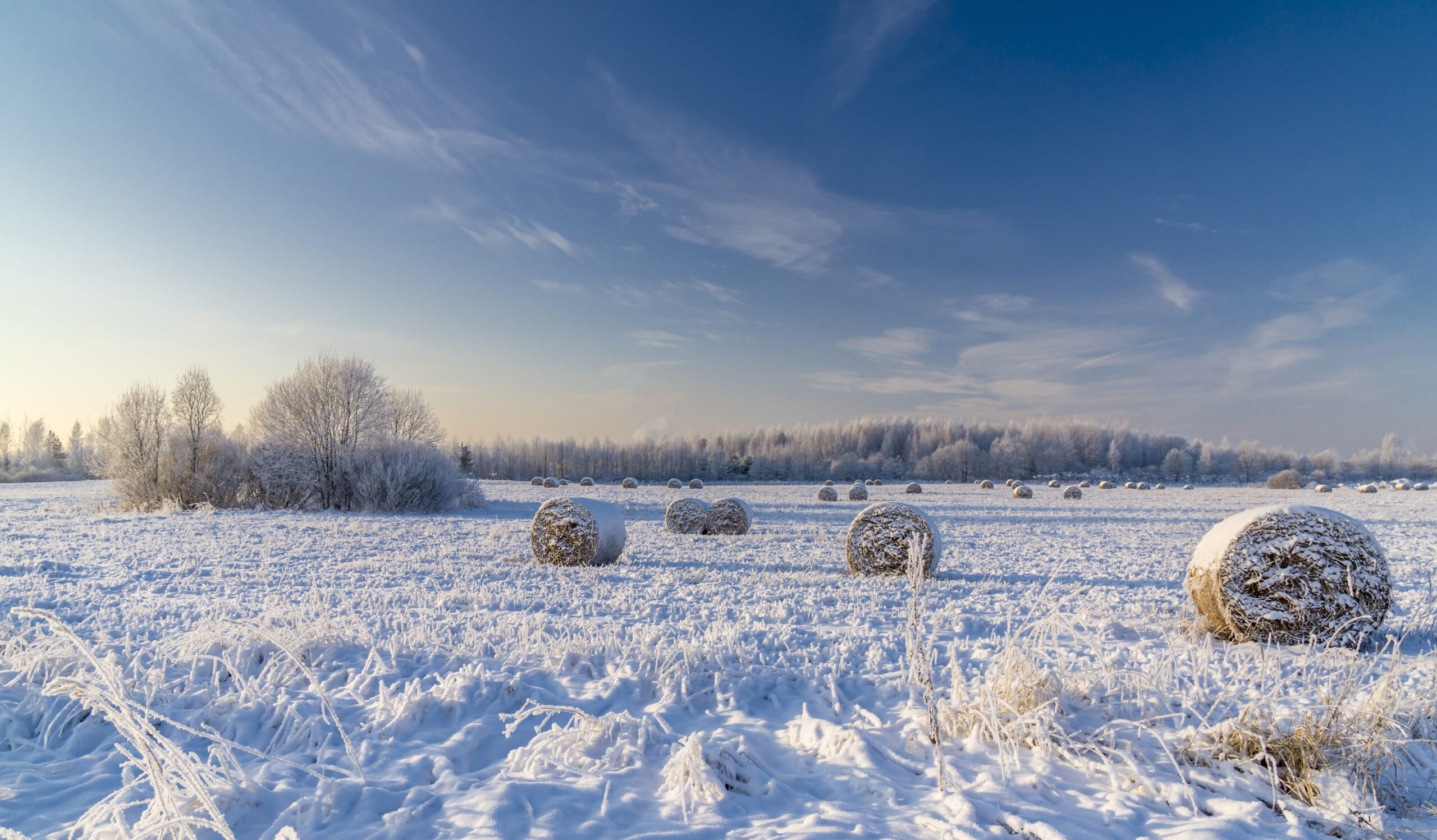 How to Prepare Your Hobby Farm for Winter - National Land Realty News