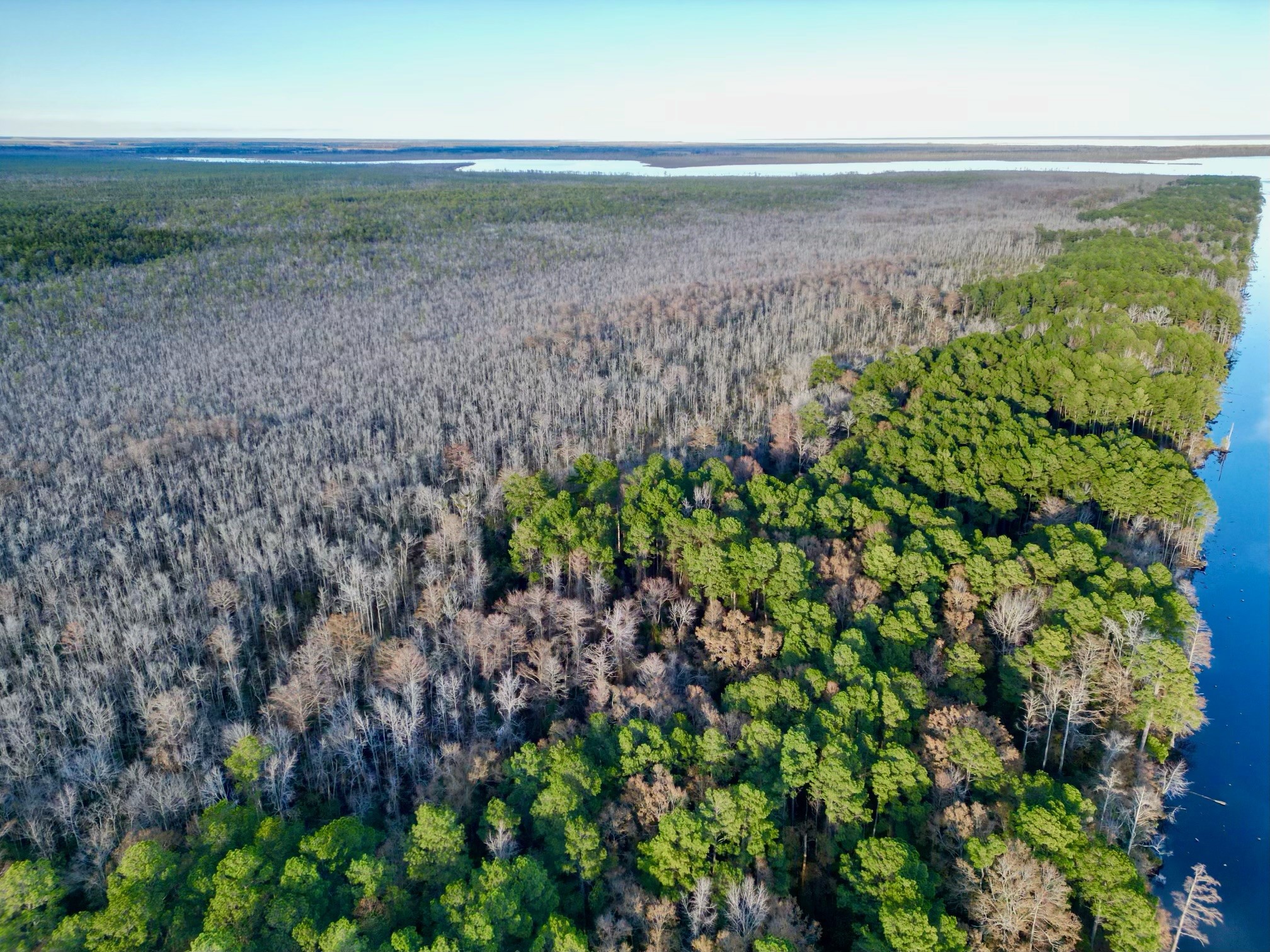 Selling an 8,000 acre island, with Aaron Sutton - National Land Realty News