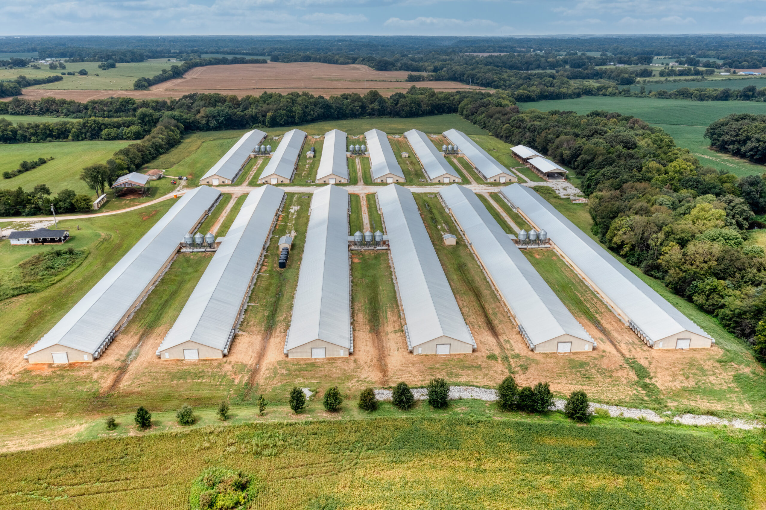 All about poultry farms, with Ashley McCraney - National Land Realty News