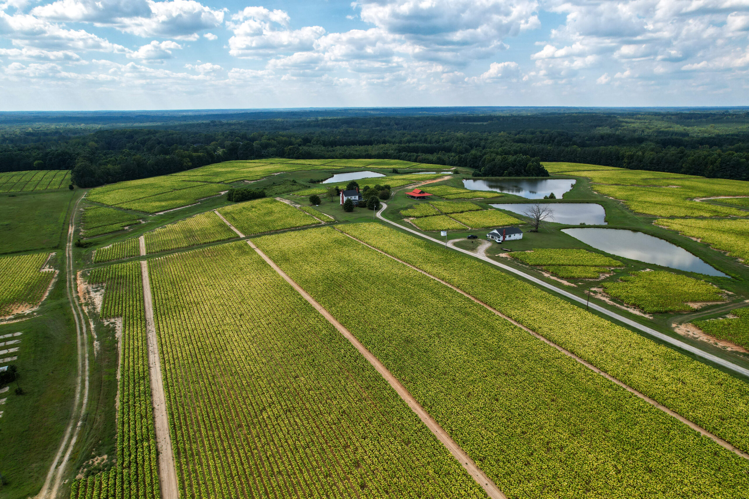 Land Chronicles: Buying the farm, and the tenant - National Land Realty ...