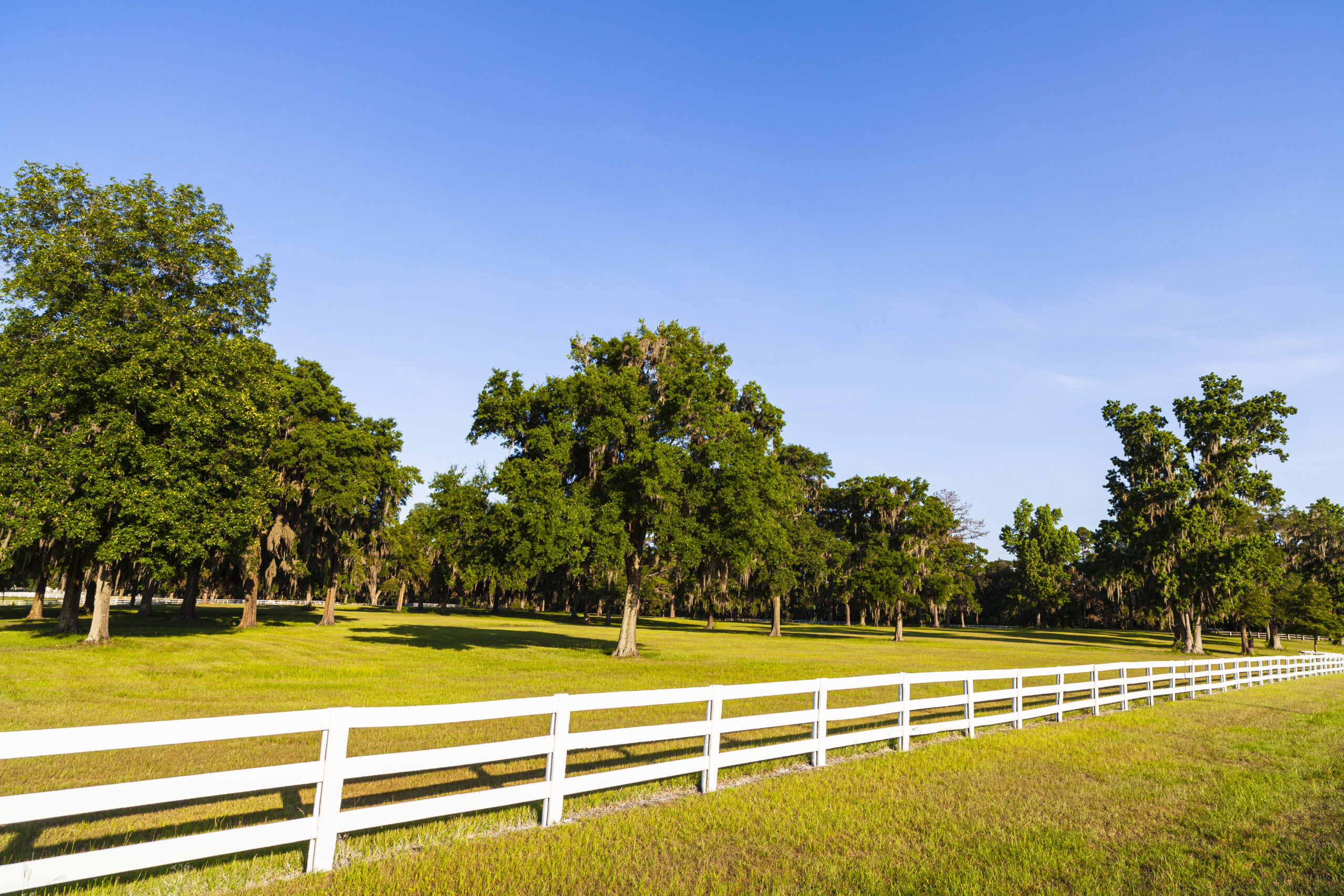 Florida Land Markets, Green Cemeteries, and More - National Land Realty ...